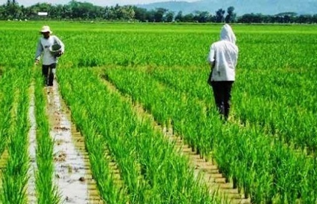 Jurnal METRO | Analisa jadi Fakta | RUDI SUSMANTO INGATKAN PEMKAB BOGOR ... Jurnal METRO | Analisa jadi Fakta | RUDI SUSMANTO INGATKAN PEMKAB BOGOR ...